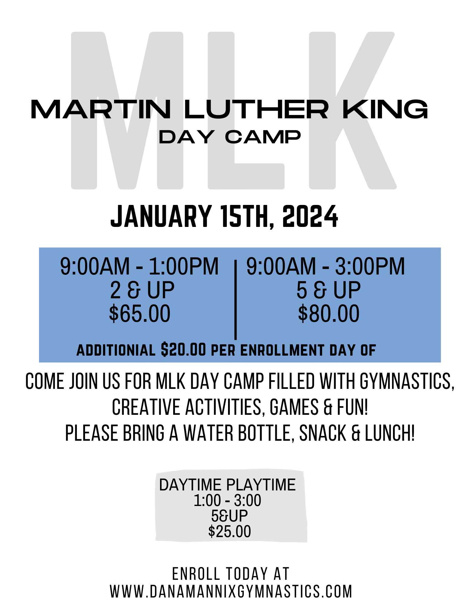 Home - Dana Mannix Gymnastics