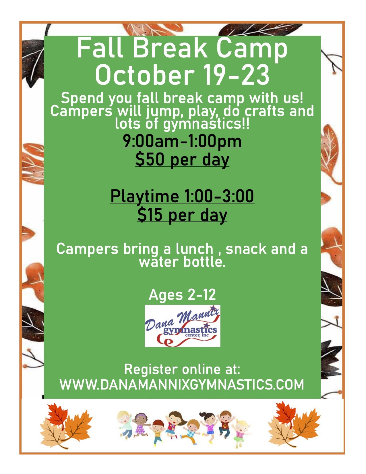 Home - Dana Mannix Gymnastics